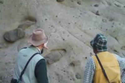 Down Under dinosaur burrow discovery provides | EurekAlert!