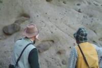 Down Under dinosaur burrow discovery provides | EurekAlert!