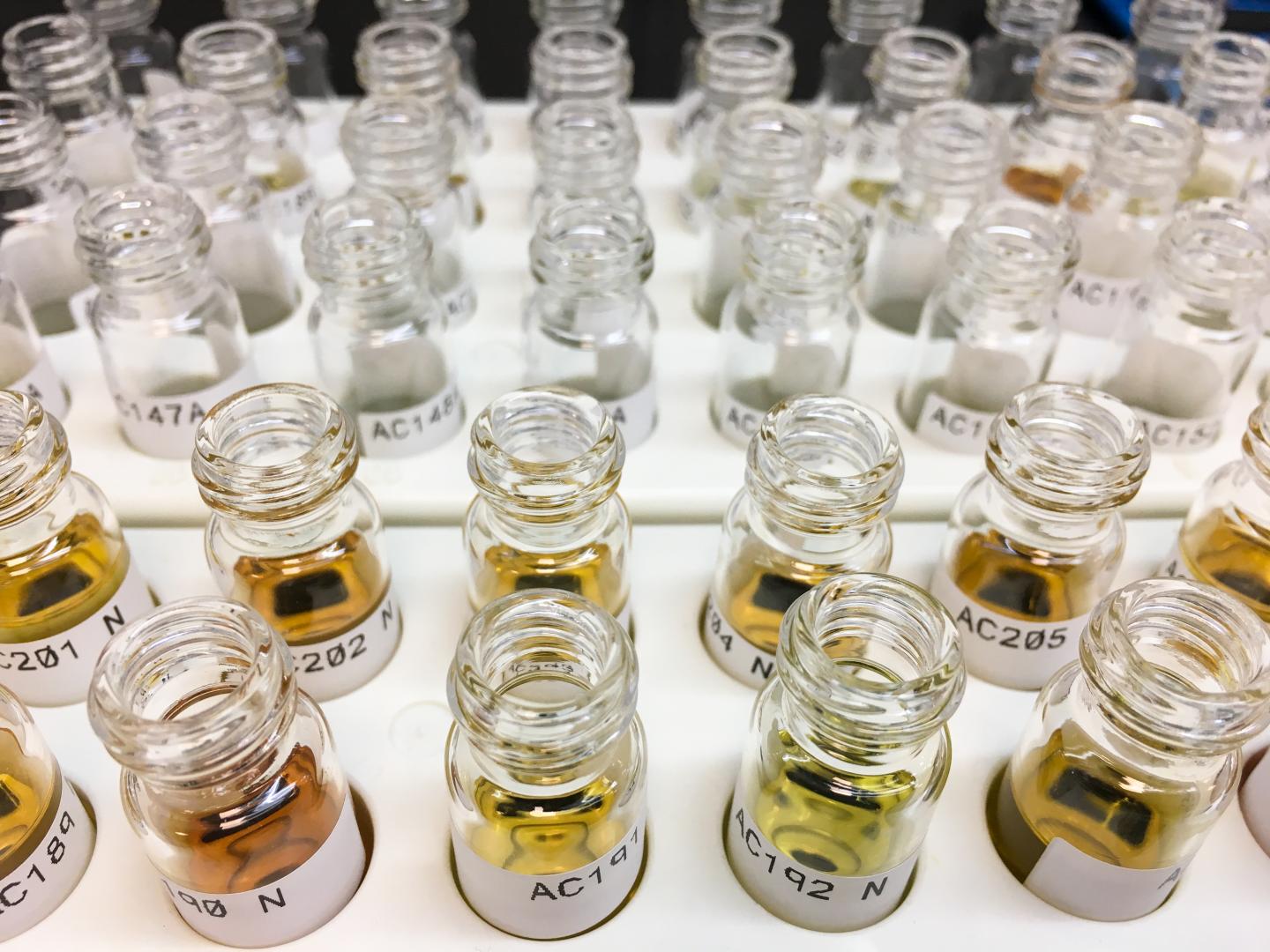 Extraction process [IMAGE] | EurekAlert! Science News Releases