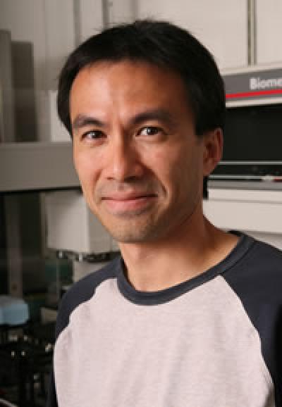 UT Southwestern researchers disrupt biochemic | EurekAlert!