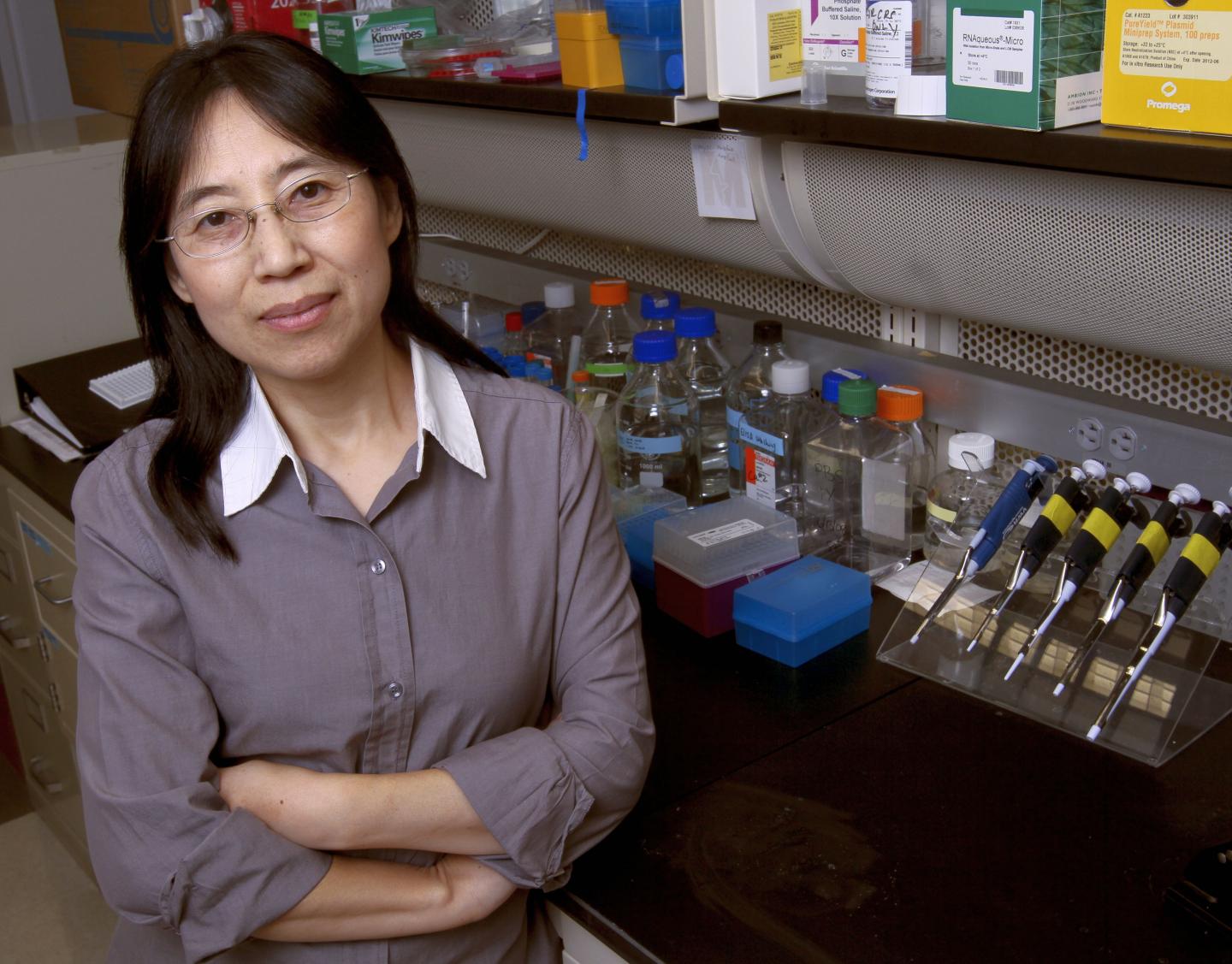 Hong Wang, Ph.D., Monell Chemi [IMAGE] | EurekAlert! Science News Releases