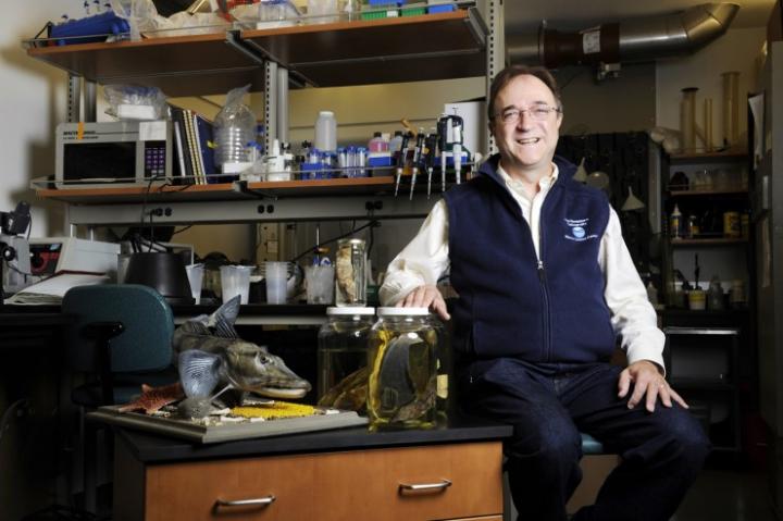 William Detrich, Northeastern [IMAGE] | EurekAlert! Science News Releases