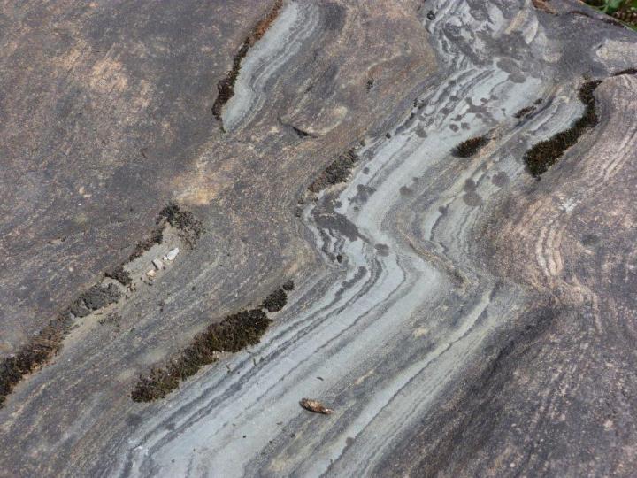 Geobiology [IMAGE] | EurekAlert! Science News Releases