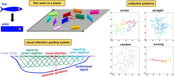 Figure 1 [IMAGE] | EurekAlert! Science News Releases