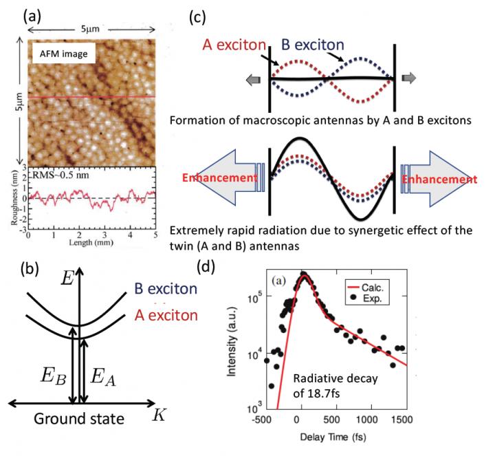 Excitonic radiative decay faster than thermal | EurekAlert!