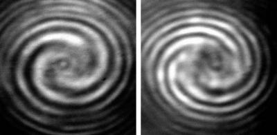 Twisting Light on a Chip (2 of 5) | EurekAlert!