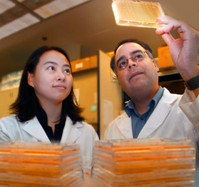 Ling Xia and Hernan Flores-Roz [IMAGE] | EurekAlert! Science News Releases