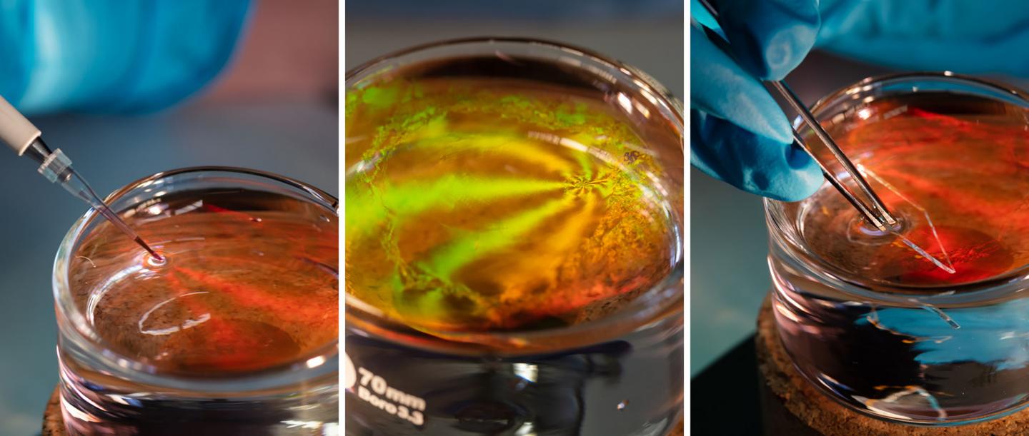 Layer Production [IMAGE] | EurekAlert! Science News Releases