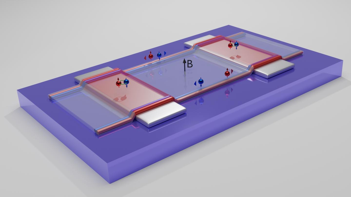Schematic Diagram of the Exper [IMAGE] | EurekAlert! Science News Releases