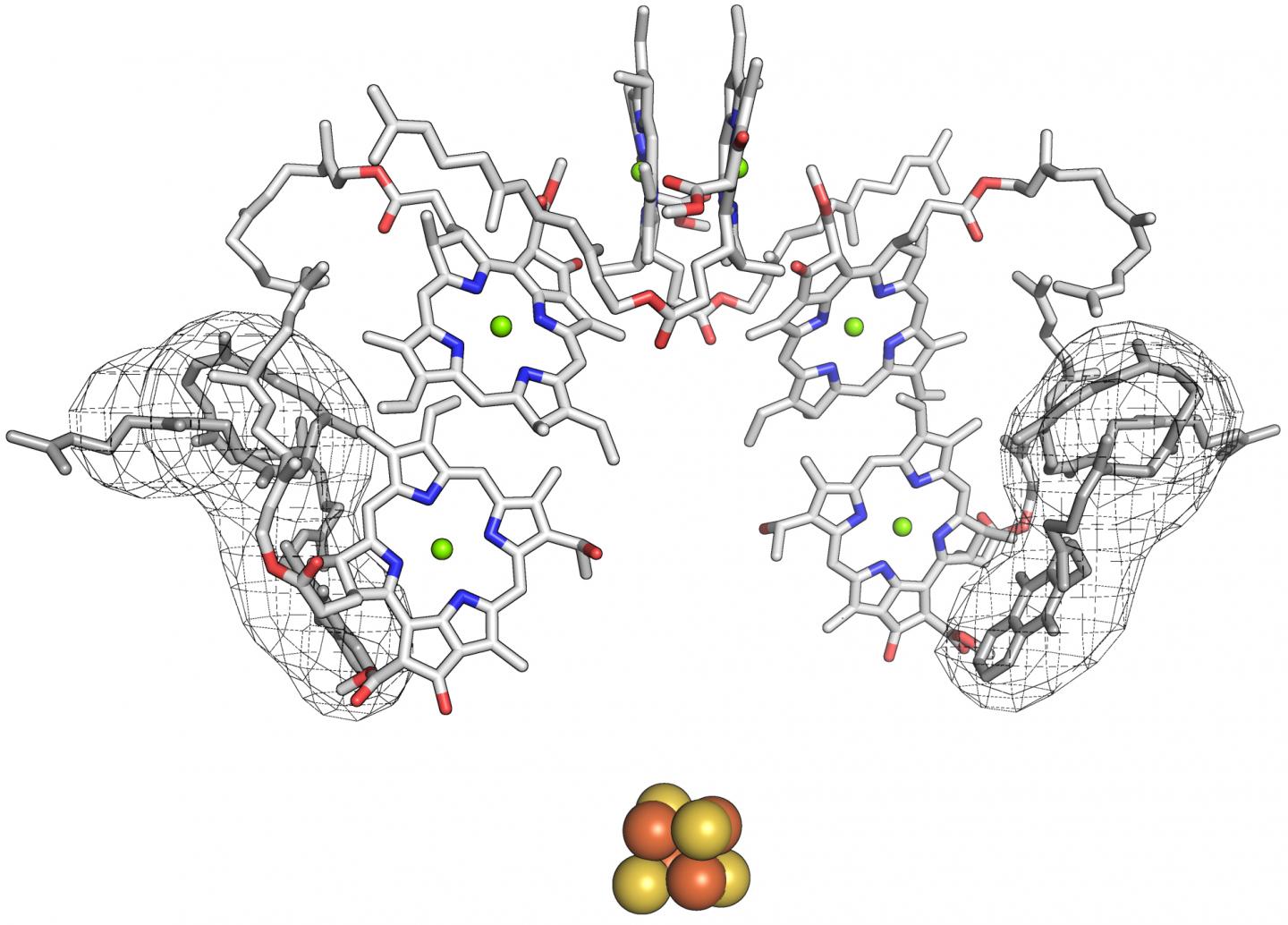 Quinone Sites [IMAGE] | EurekAlert! Science News Releases