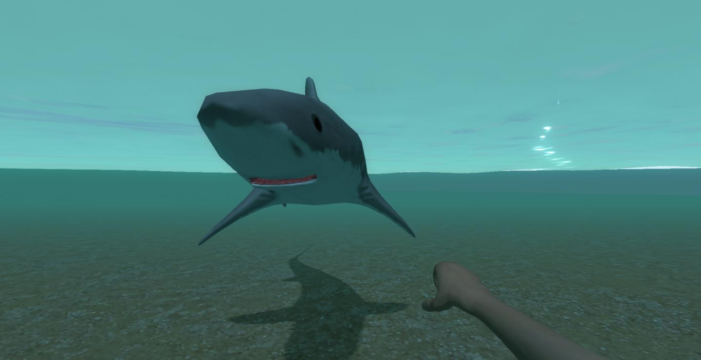 Shark Punch Screenshot [IMAGE] | EurekAlert! Science News Releases