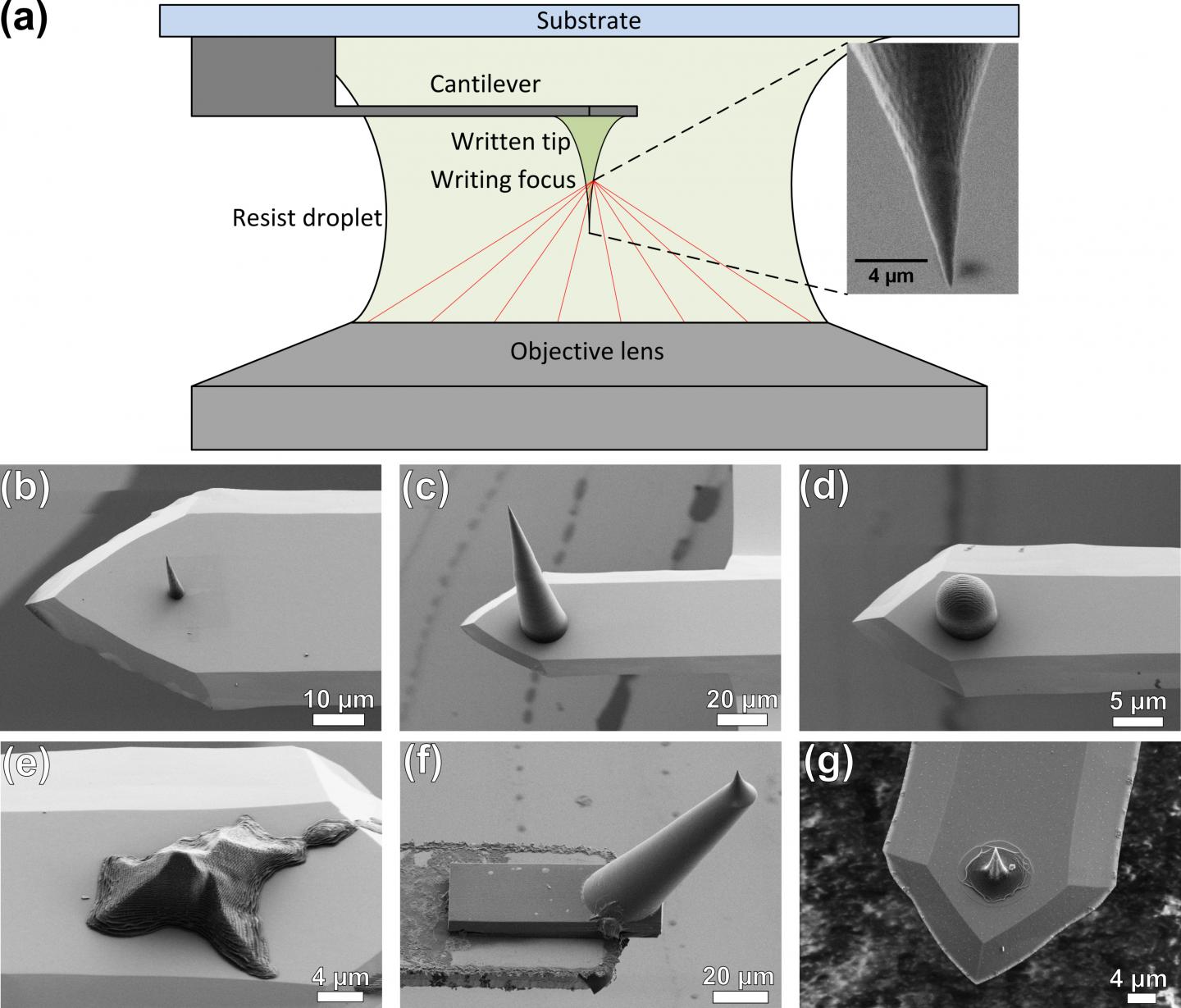 3-D Direct Laser Writing [IMAGE] | EurekAlert! Science News Releases