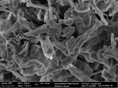 Dendrites in Lithium Ion Batte [IMAGE] | EurekAlert! Science News Releases