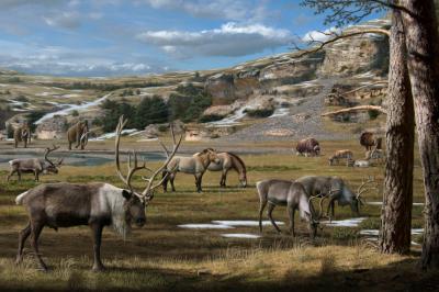 The Pleistocene Landscape [IMAGE] | EurekAlert! Science News Releases
