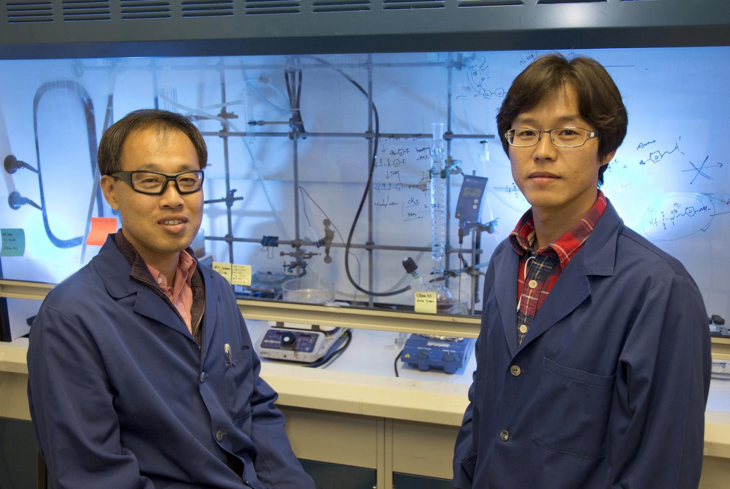 Yu Seung Kim and Kwan-Soo Lee, [IMAGE] | EurekAlert! Science News Releases