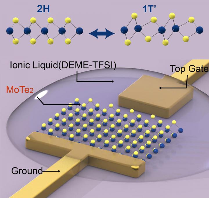 Monolayer Schematic [IMAGE] | EurekAlert! Science News Releases