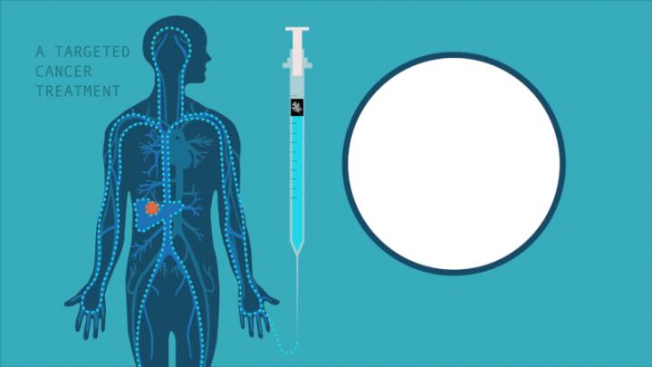 How Targeted Cancer Therapy Wo [IMAGE] | EurekAlert! Science News Releases