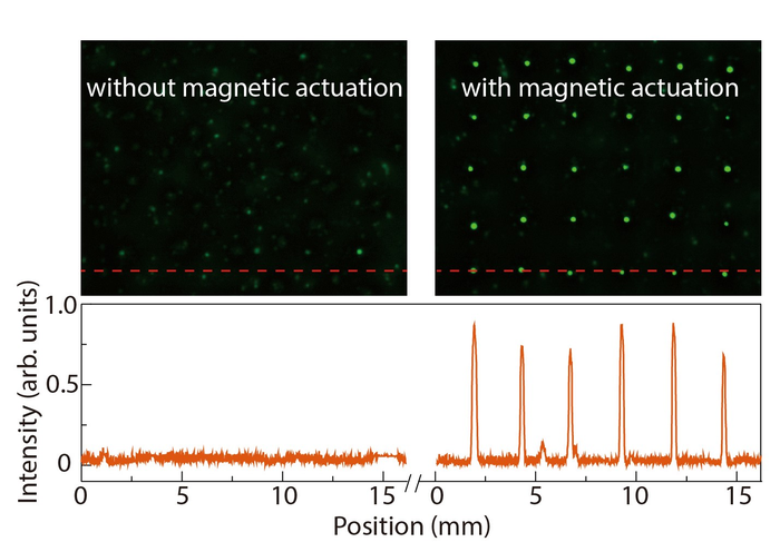 Signals generated using WRAP m [IMAGE] | EurekAlert! Science News Releases