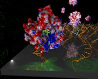 'Metabolic Barcode' of Microbial Communities | EurekAlert!