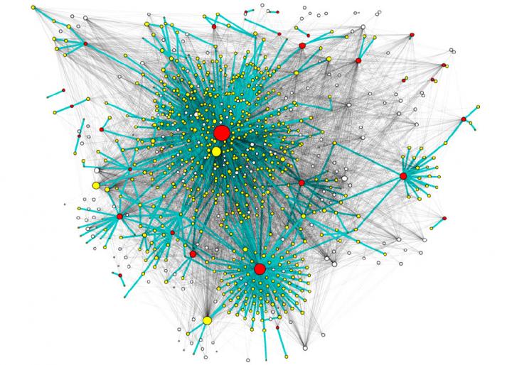 Tweet much to gain popularity is an inefficie | EurekAlert!