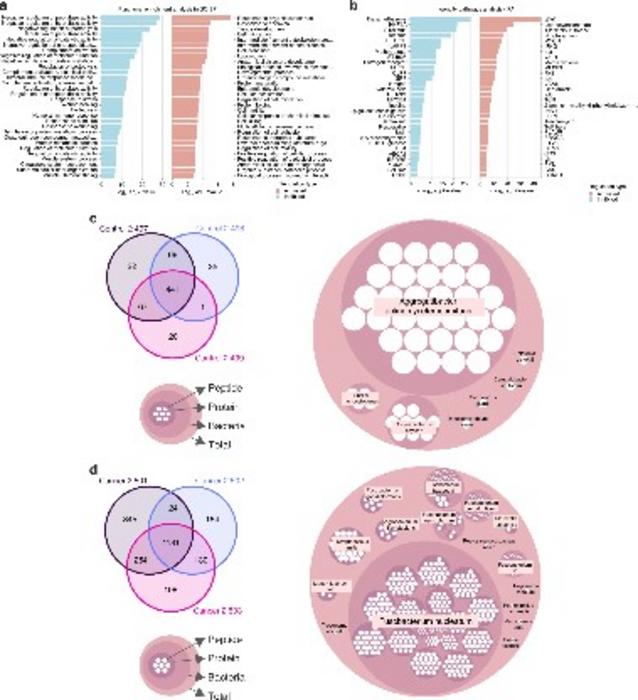 Computational proteomic analys [IMAGE] | EurekAlert! Science News Releases