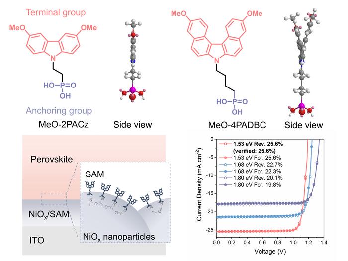 Molecular structure of the nov [IMAGE] | EurekAlert! Science News Releases