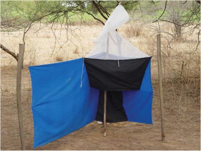 Tsetse Fly Genome Could Help Combat Sleeping | EurekAlert!