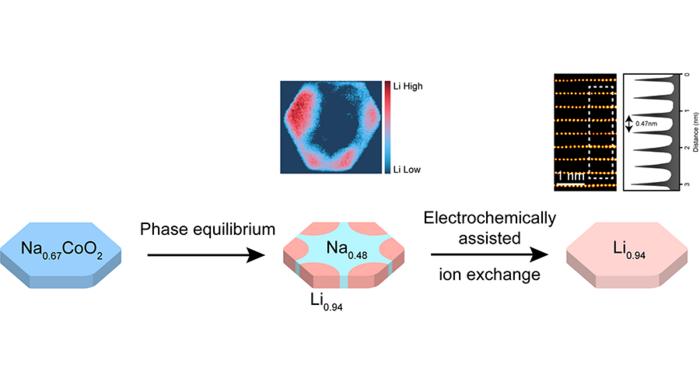 Ion exchange [IMAGE] | EurekAlert! Science News Releases