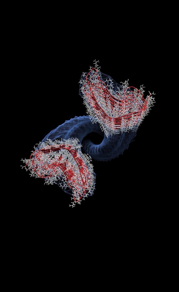 Prions Fibrils [IMAGE] | EurekAlert! Science News Releases