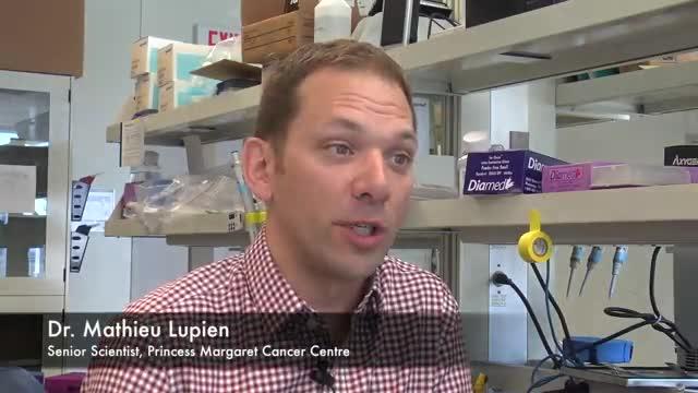 Breast cancer researchers look beyond genes t | EurekAlert!