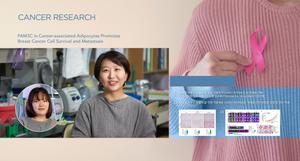 New study reveals critical role of FAM3c in b | EurekAlert!