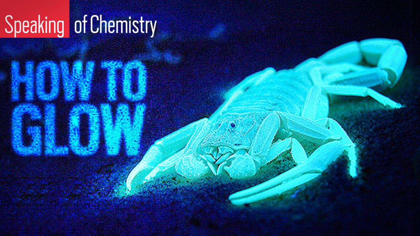 How animals glow (video) | EurekAlert!