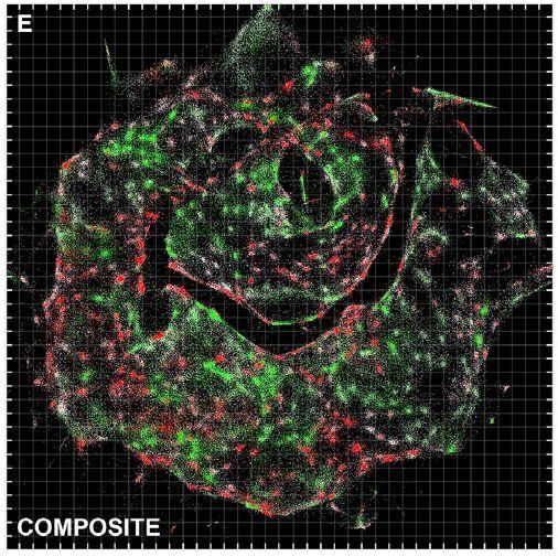 Data Visualization [IMAGE] | EurekAlert! Science News Releases