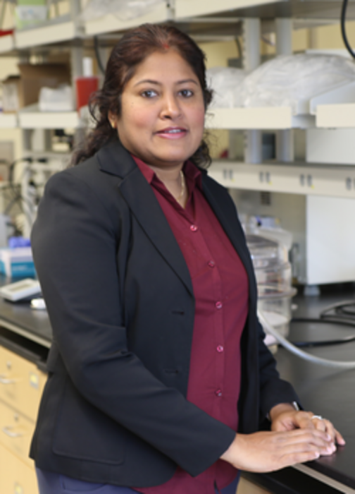 Soumya Srivastava WVU [IMAGE] | EurekAlert! Science News Releases