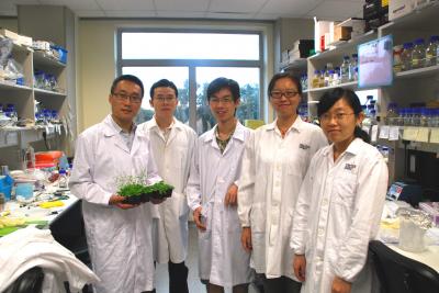 Yu Hao and His Research Team, [IMAGE] | EurekAlert! Science News Releases