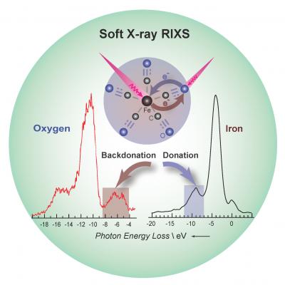 Soft X-ray RIXS [IMAGE] | EurekAlert! Science News Releases