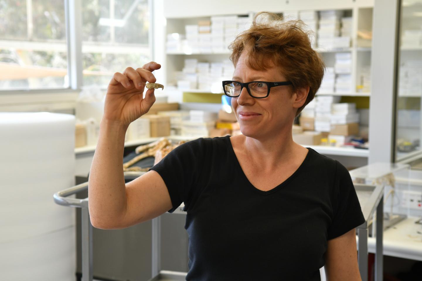Vera Weisbecker, Flinders Univ [IMAGE] | EurekAlert! Science News Releases