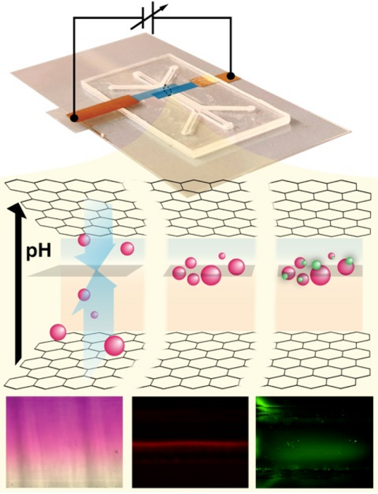Schematic2 [IMAGE] | EurekAlert! Science News Releases