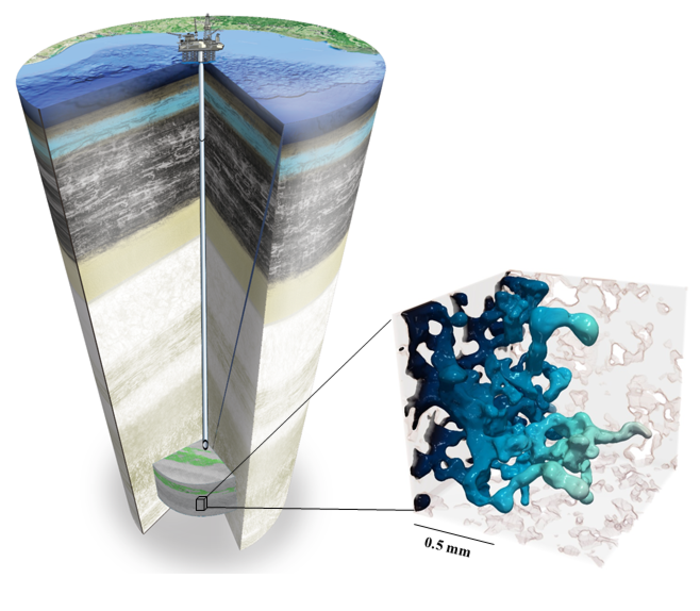 Carbon capture and storage sch [IMAGE] | EurekAlert! Science News Releases