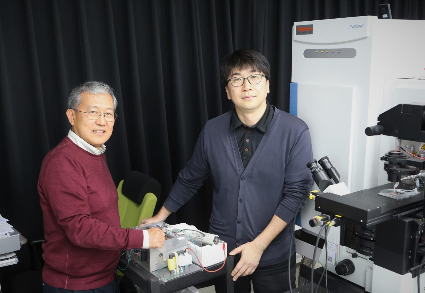 Mass spectrometric imaging technique makes di | EurekAlert!