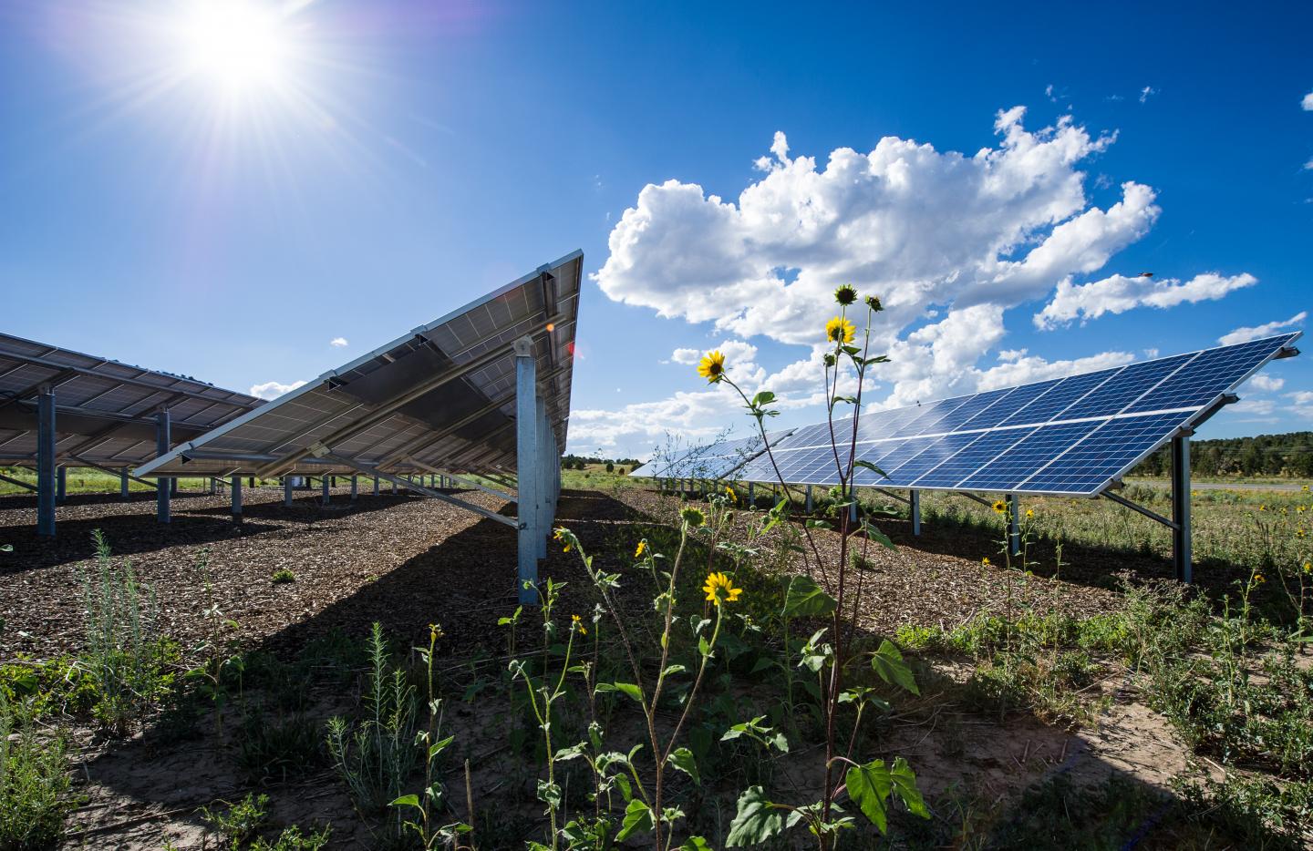 Solar PV [IMAGE] | EurekAlert! Science News Releases