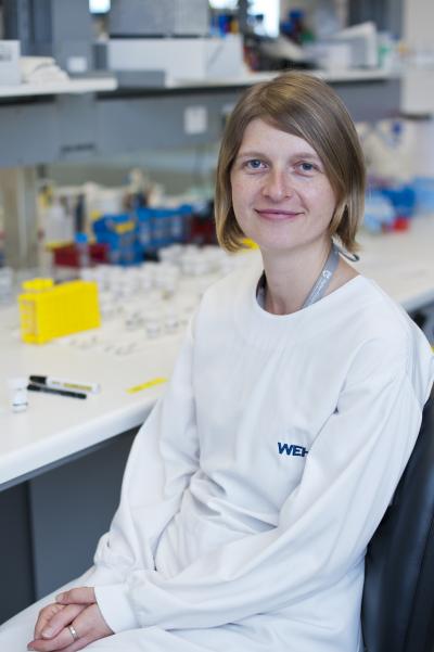 Dr. Rachael Rutkowski, Walter [IMAGE] | EurekAlert! Science News Releases