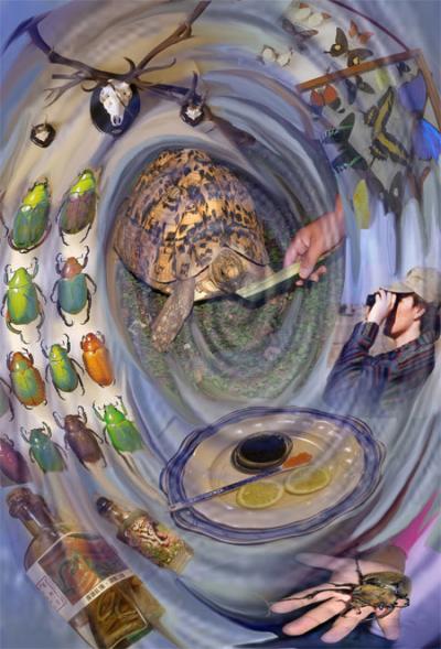 Vortex of Extinction [IMAGE] | EurekAlert! Science News Releases