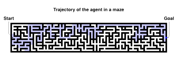 Snapshot of the maze [IMAGE] | EurekAlert! Science News Releases