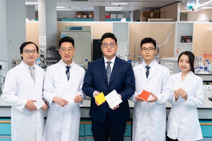 i2Cool team [IMAGE] | EurekAlert! Science News Releases