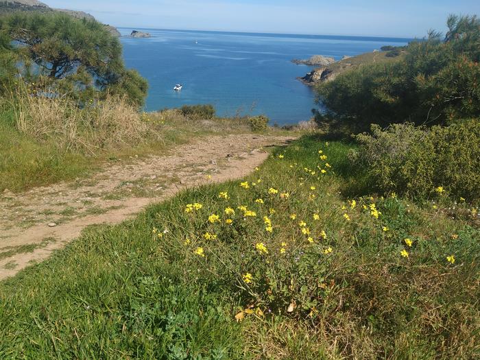 Different adaptation strategie [IMAGE] | EurekAlert! Science News Releases