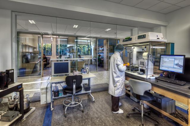 Lab Work [IMAGE] | EurekAlert! Science News Releases