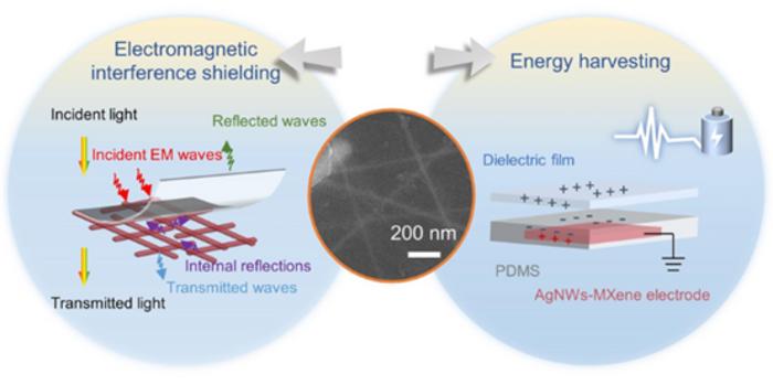 TOC abstract [IMAGE] | EurekAlert! Science News Releases