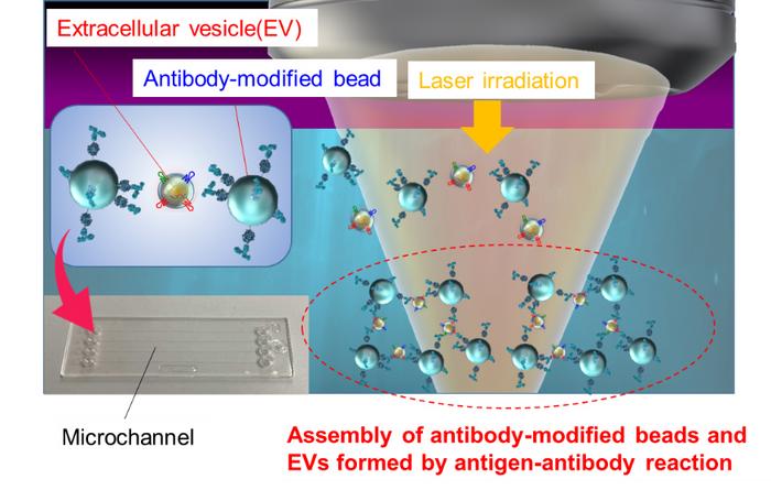 Super-efficient laser light-induced detection | EurekAlert!