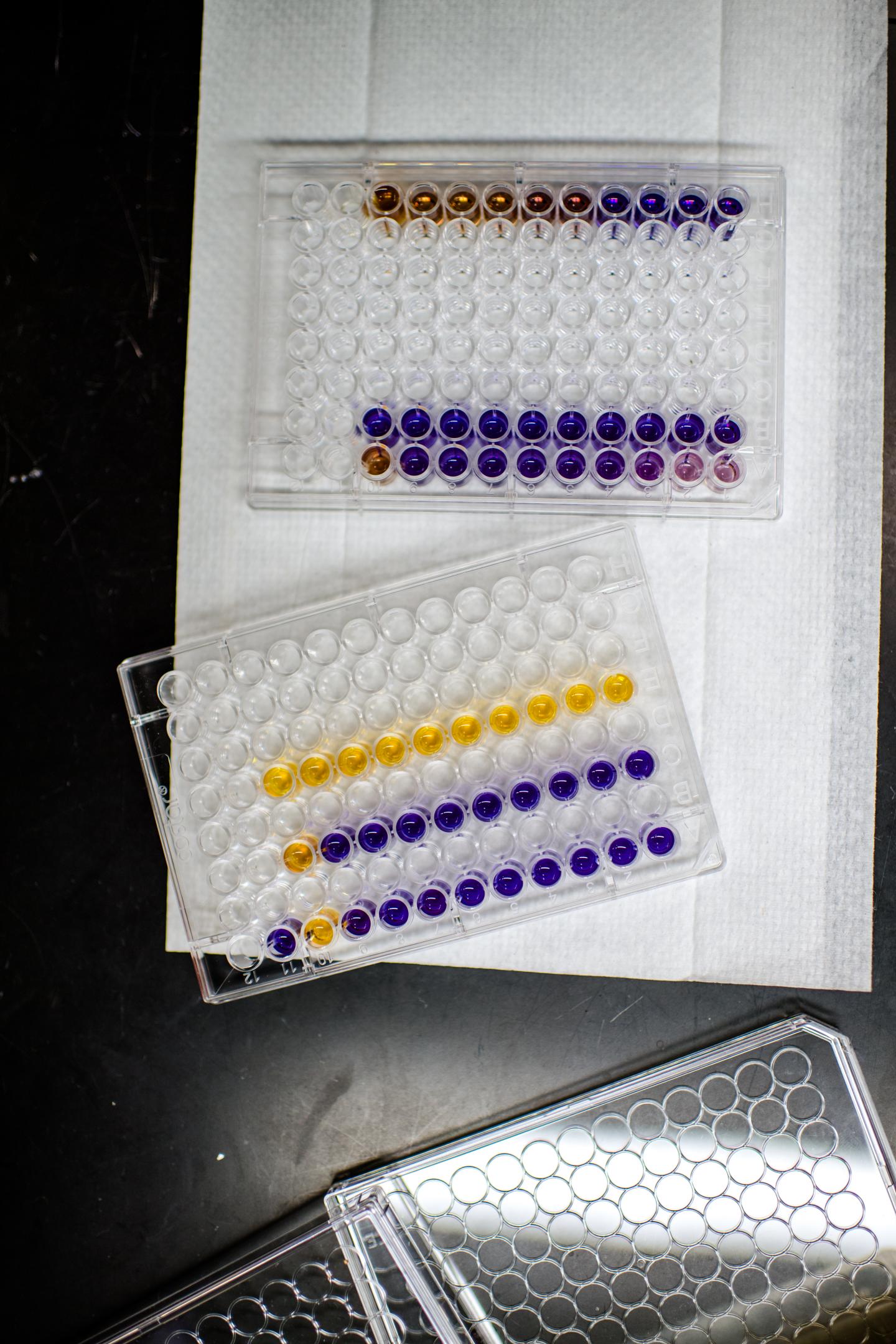 Microgels Assays [IMAGE] | EurekAlert! Science News Releases